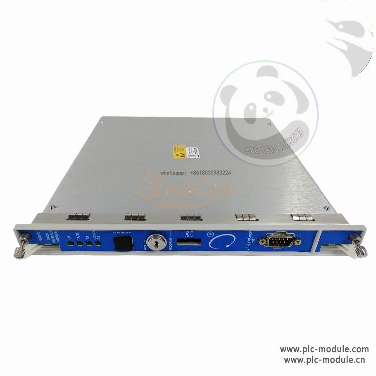 BENTLY 3500/20-01-01-00 Rack Interface Module - Sichuan Seeiyo ...